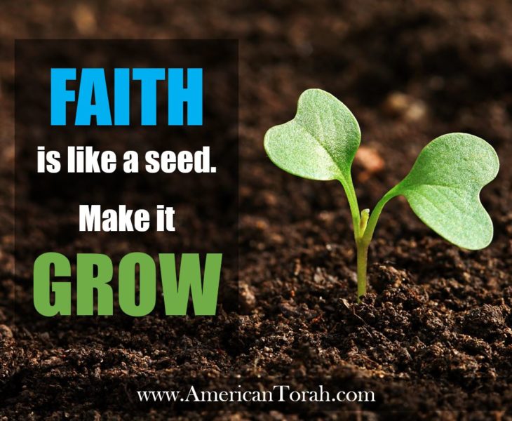 Faith Is Like a Seed. Make It Grow. - American Torah