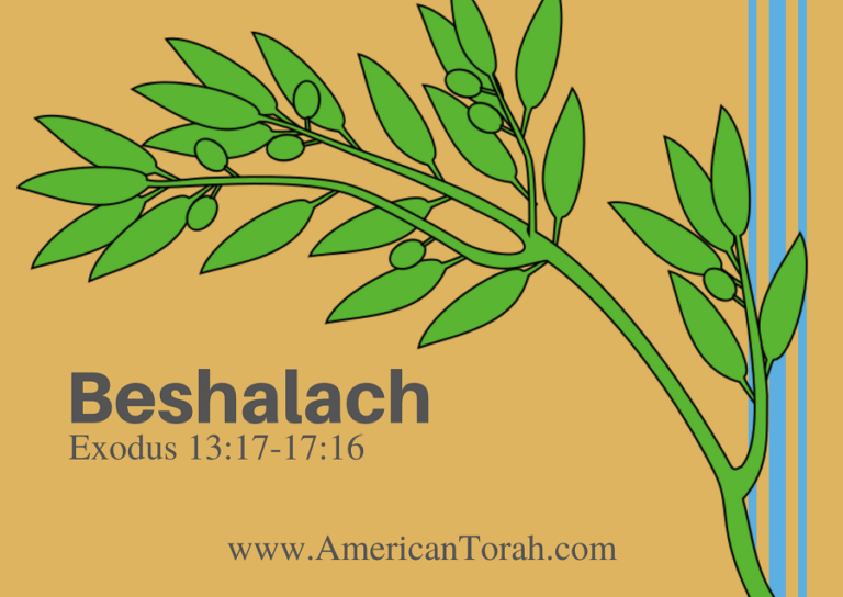 Beshalach Archives - American Torah